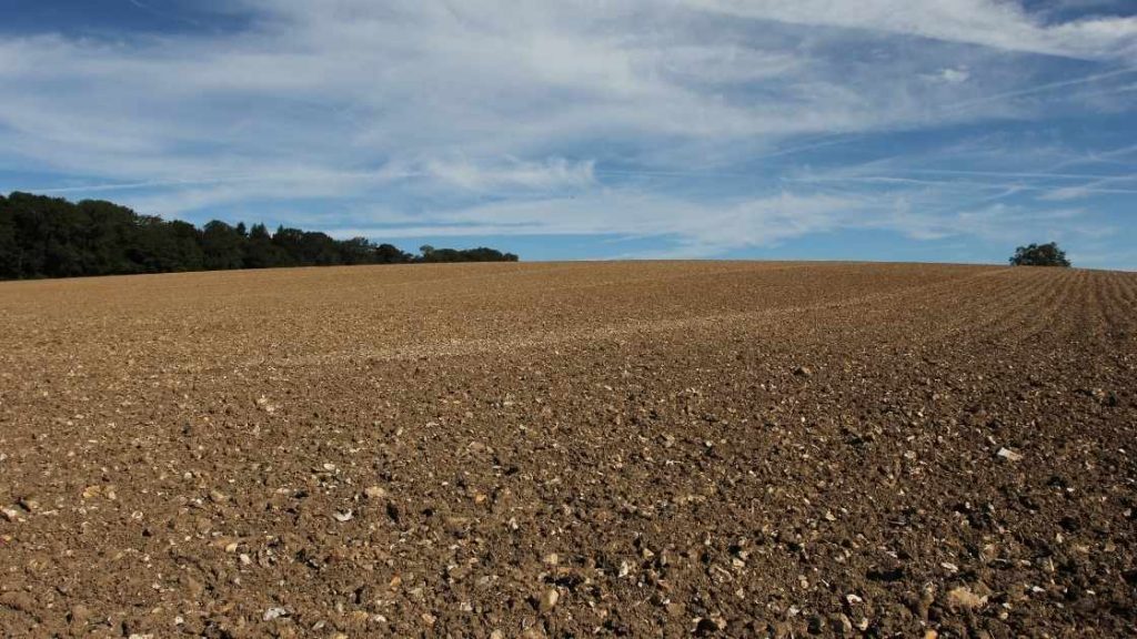 Wasteland Development in India - The Agriculture Times